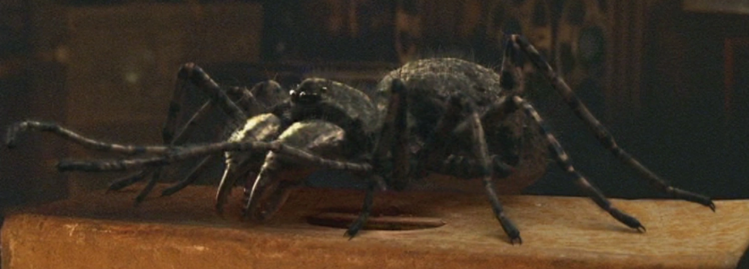 Solifugo | Wiki Primeval | Fandom