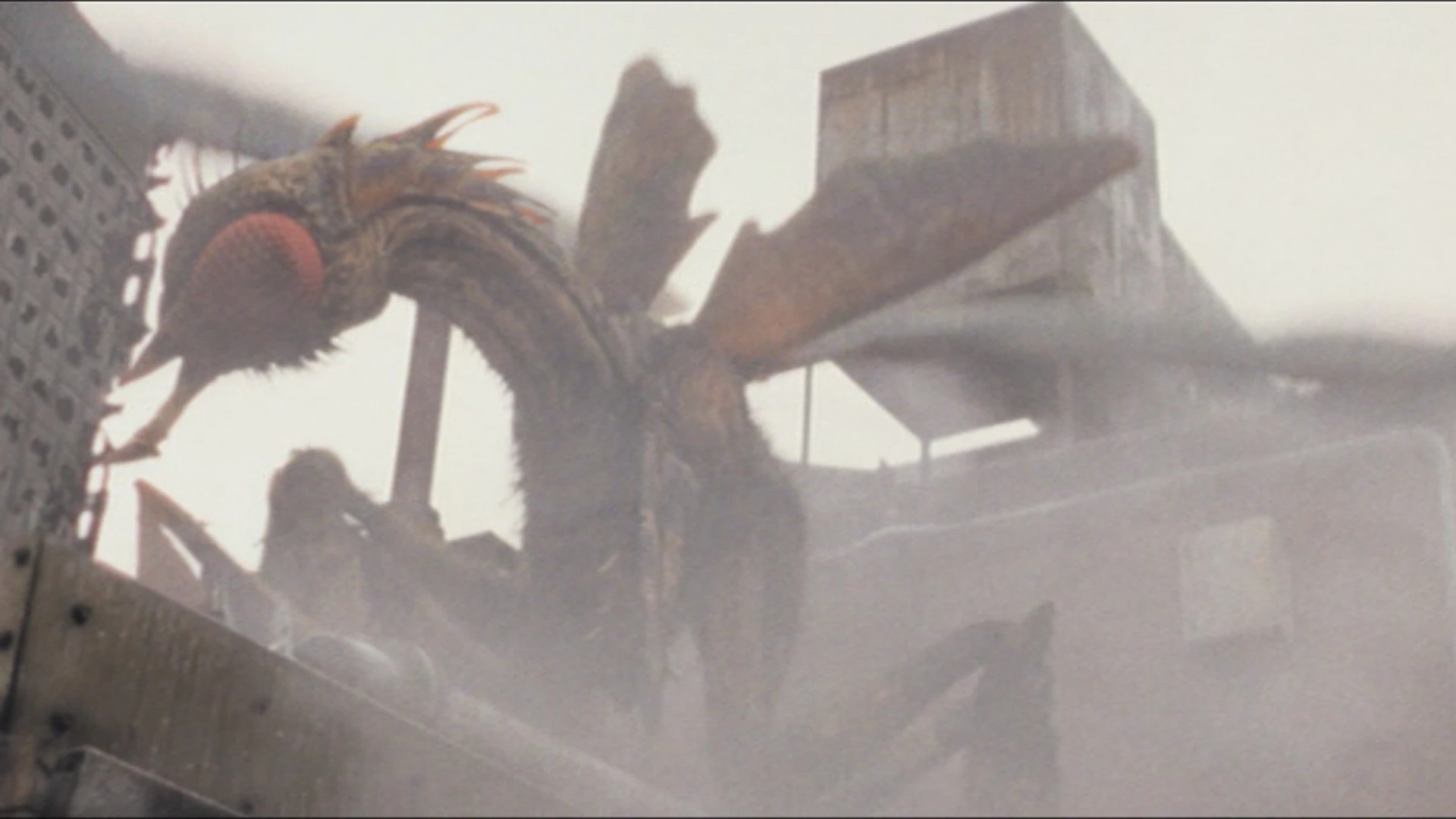 Image - 3x8 Megopteran 41.jpg | Anomaly Research Centre | FANDOM ...