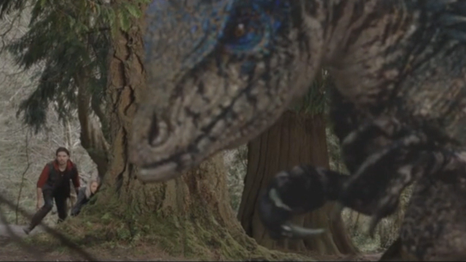 Image Raptor 41 Anomaly Research Centre Fandom Powered By Wikia
