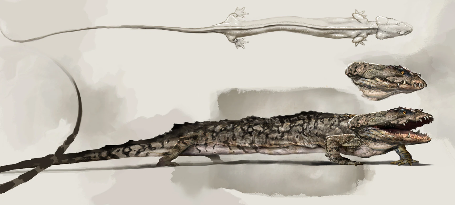 Labyrinthodont/Gallery | Anomaly Research Centre | Fandom