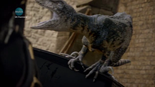 Raptor (Primeval) | Wiki Primeval | Fandom