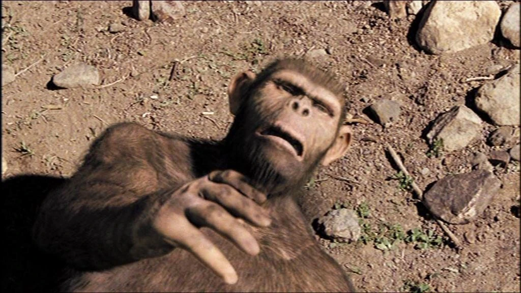 Australopithecus | Wiki Primeval | FANDOM powered by Wikia