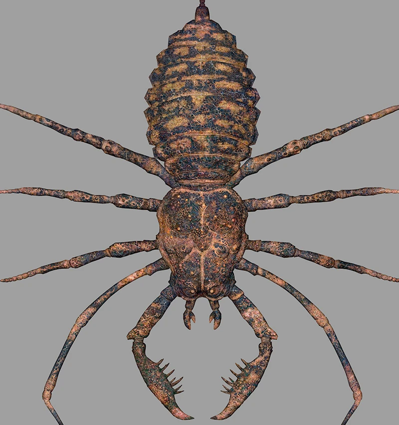 Silurian Scorpion/Gallery | Anomaly Research Centre | Fandom