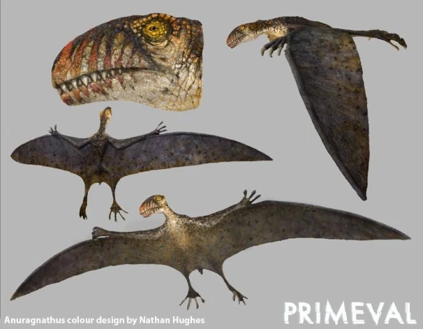 Anurognathus/Gallery | Anomaly Research Centre | FANDOM powered by Wikia