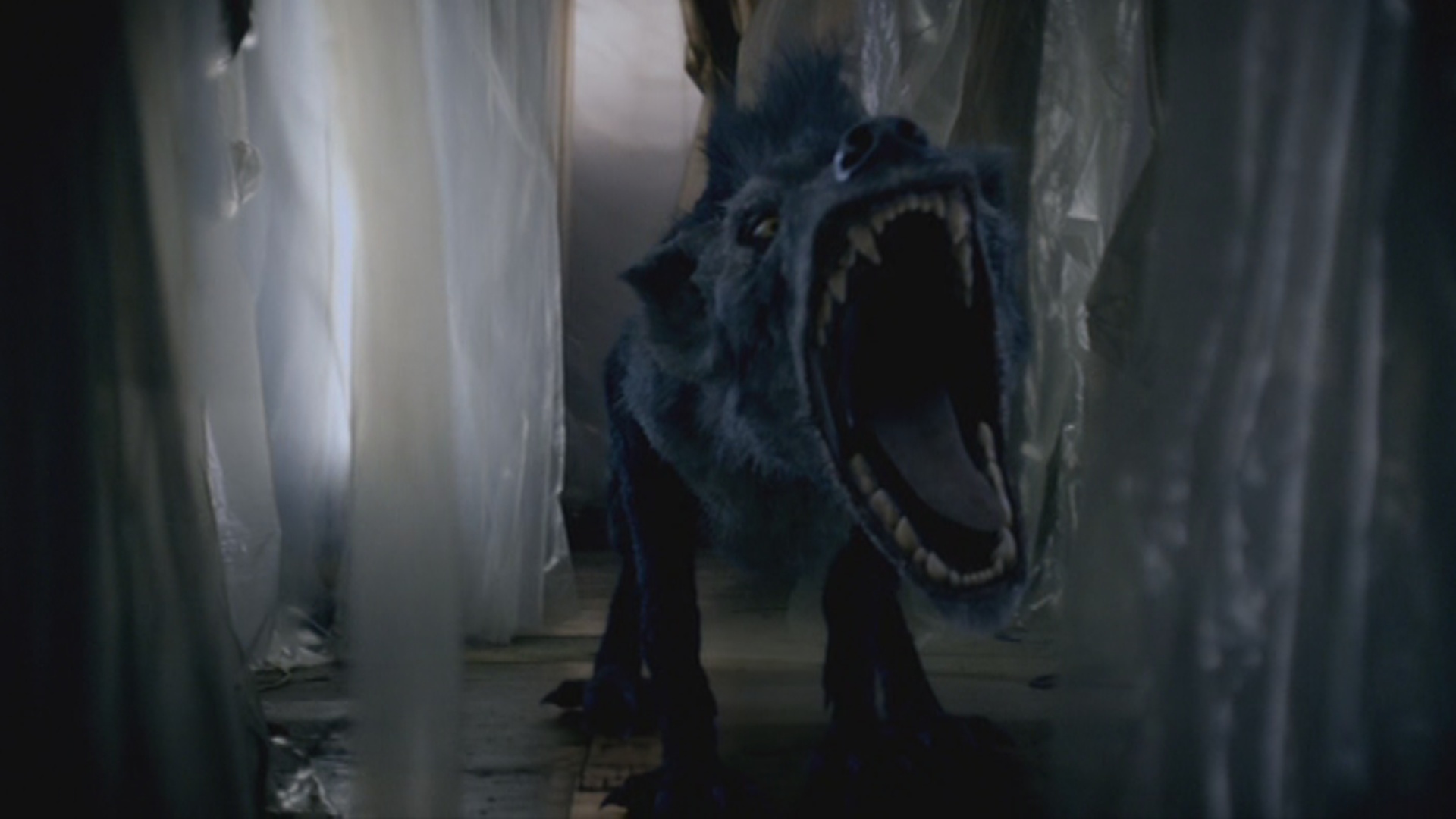 Image Hyaenodon 4 6 4 Anomaly Research Centre Fandom Powered