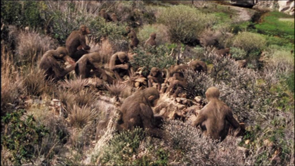 Hominid Anomaly Research Centre Fandom Powered By Wikia