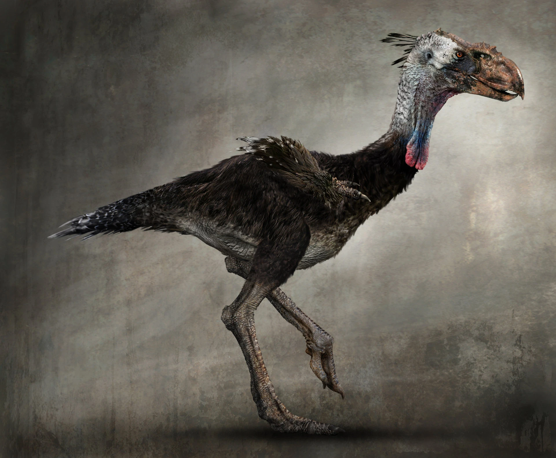 Terror Bird/Gallery | Anomaly Research Centre | Fandom