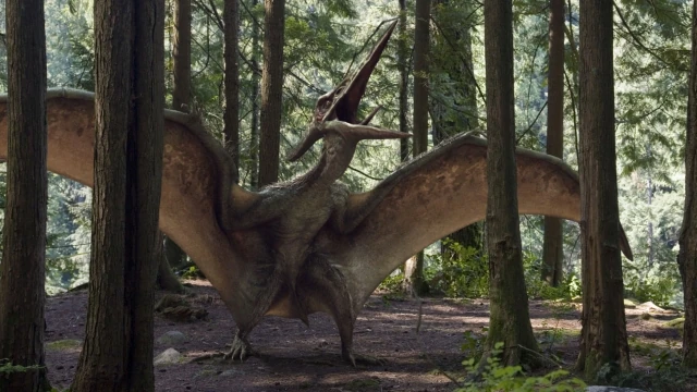 Image - Dinosaurs pteranodon.jpg | Anomaly Research Centre | FANDOM powered by Wikia