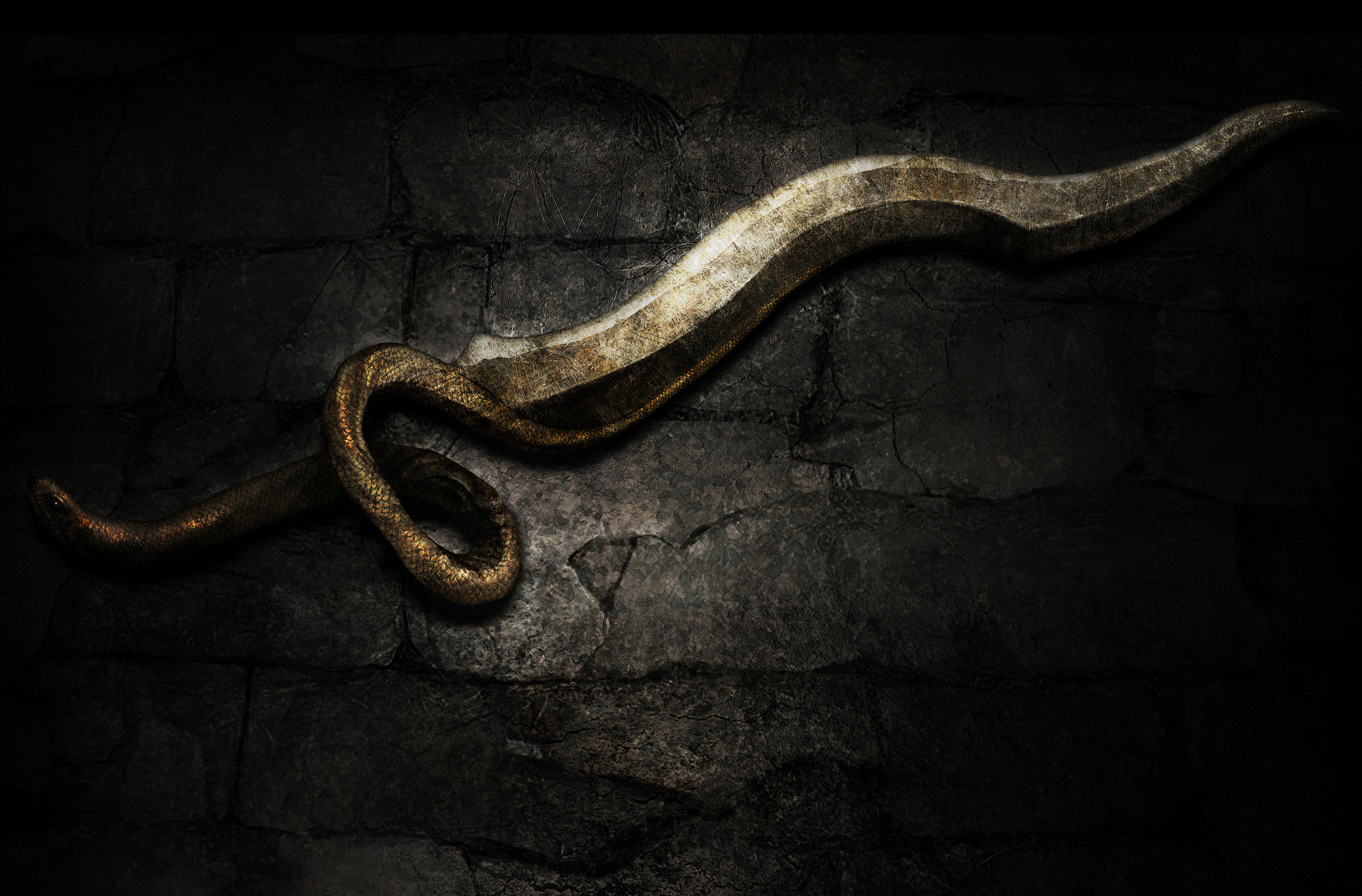 Espada De Serpiente Prince Of Persia Wiki Fandom Powered By Wikia
