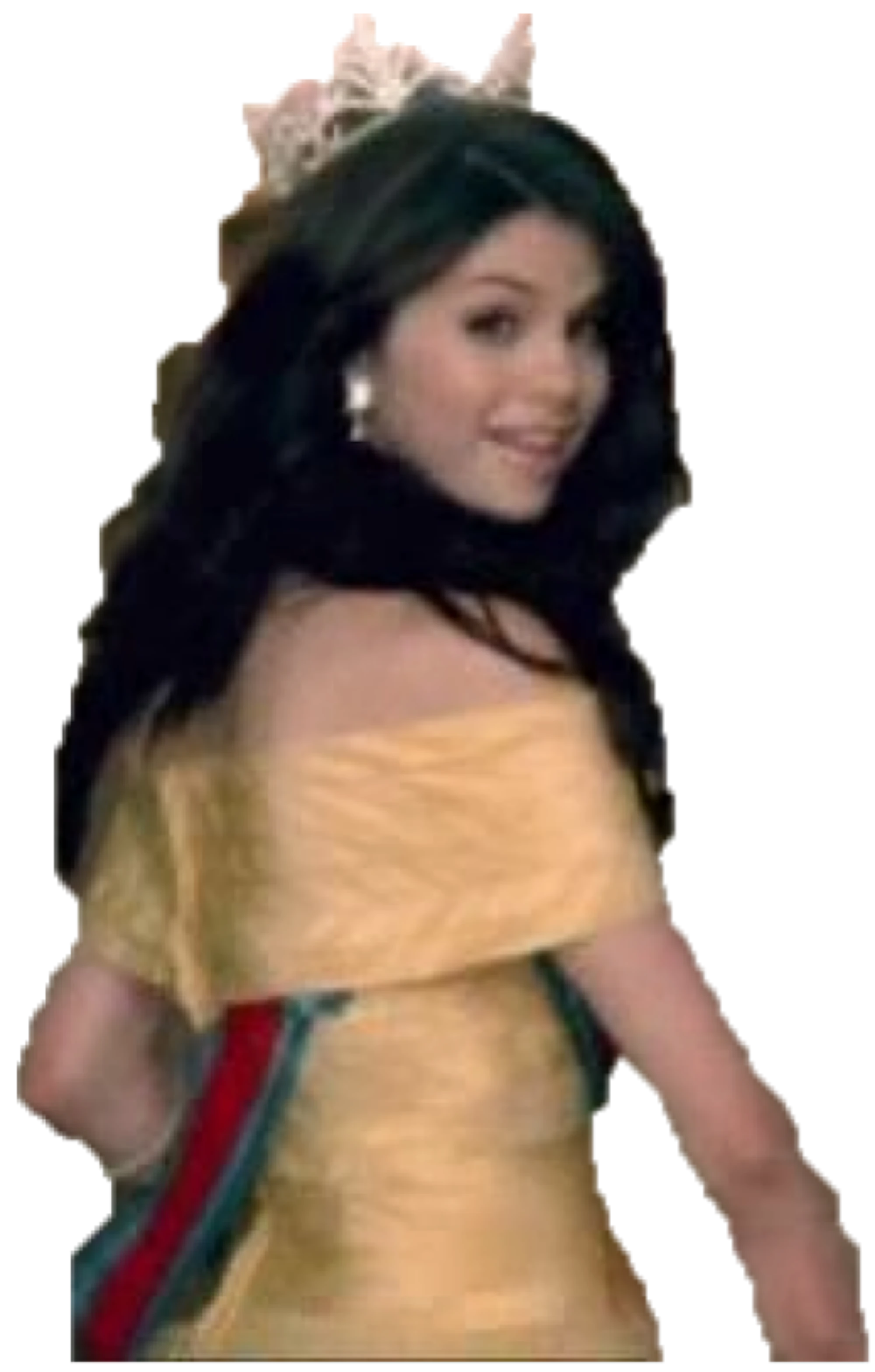 Carter Mason | Princess Protection Program Wiki | Fandom