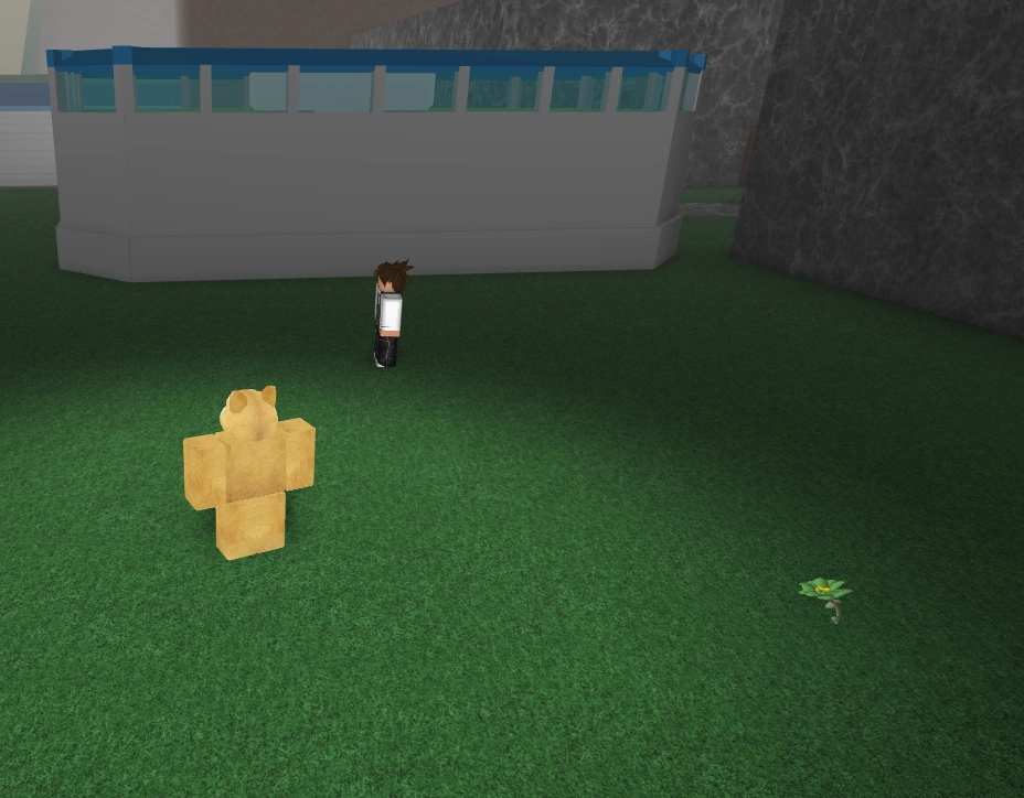 Gracidea Flower | Project Pokemon Wiki | Fandom