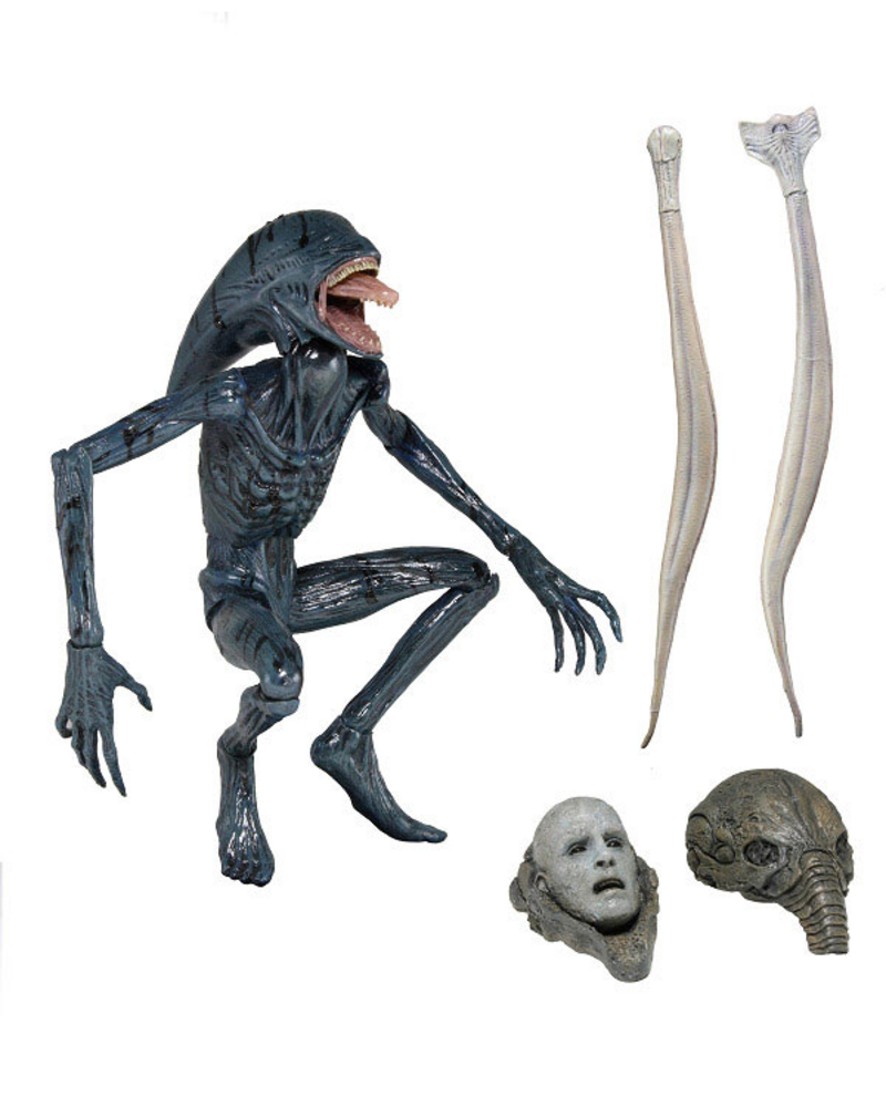 Neca Action Figure Of Deacon Prometheus Wiki Fandom Powered By Wikia