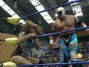 Fabi Apache/Galería de fotos | Lucha libre profesional | FANDOM powered ...