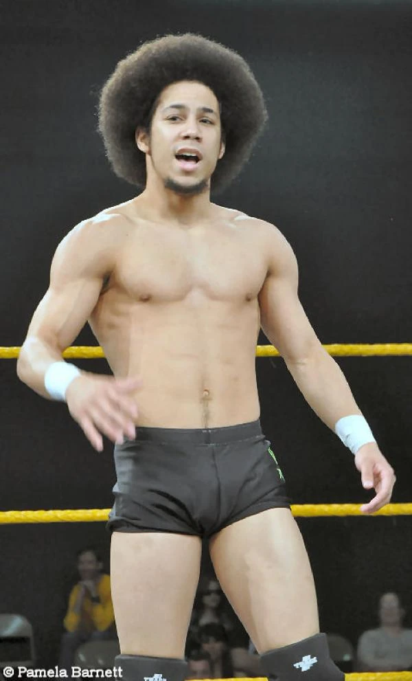 Brandon/Image gallery | Pro Wrestling | Fandom