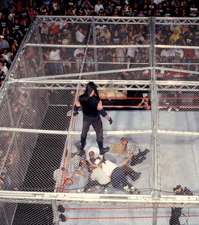 Image Mankind Vs The Undertaker Hell In A Cell Match King Of The Ring