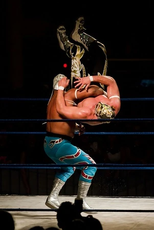 Tilt-a-whirl backbreaker | Pro Wrestling | FANDOM powered by Wikia