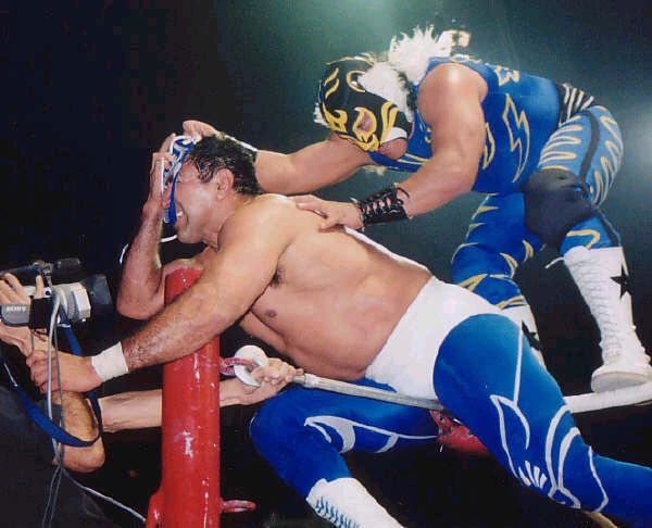 El Felino/Image gallery | Pro Wrestling | Fandom