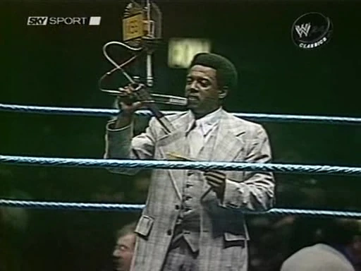 December 28, 1982 MSG results | Pro Wrestling | Fandom