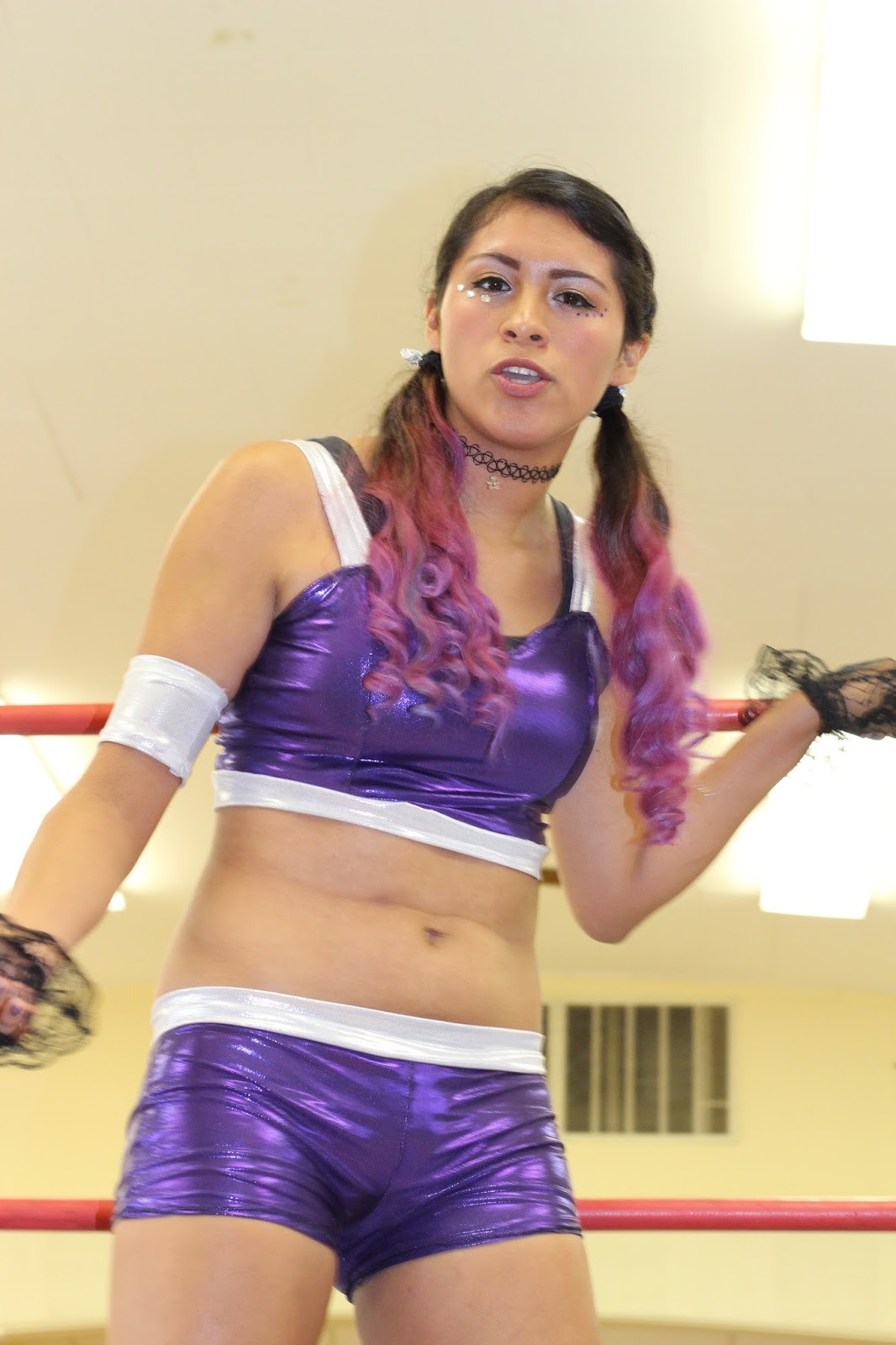 Delmi Exo Pro Wrestling Fandom Powered By Wikia