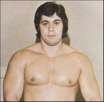 Dino Bravo | Pro-Wrestling | Fandom