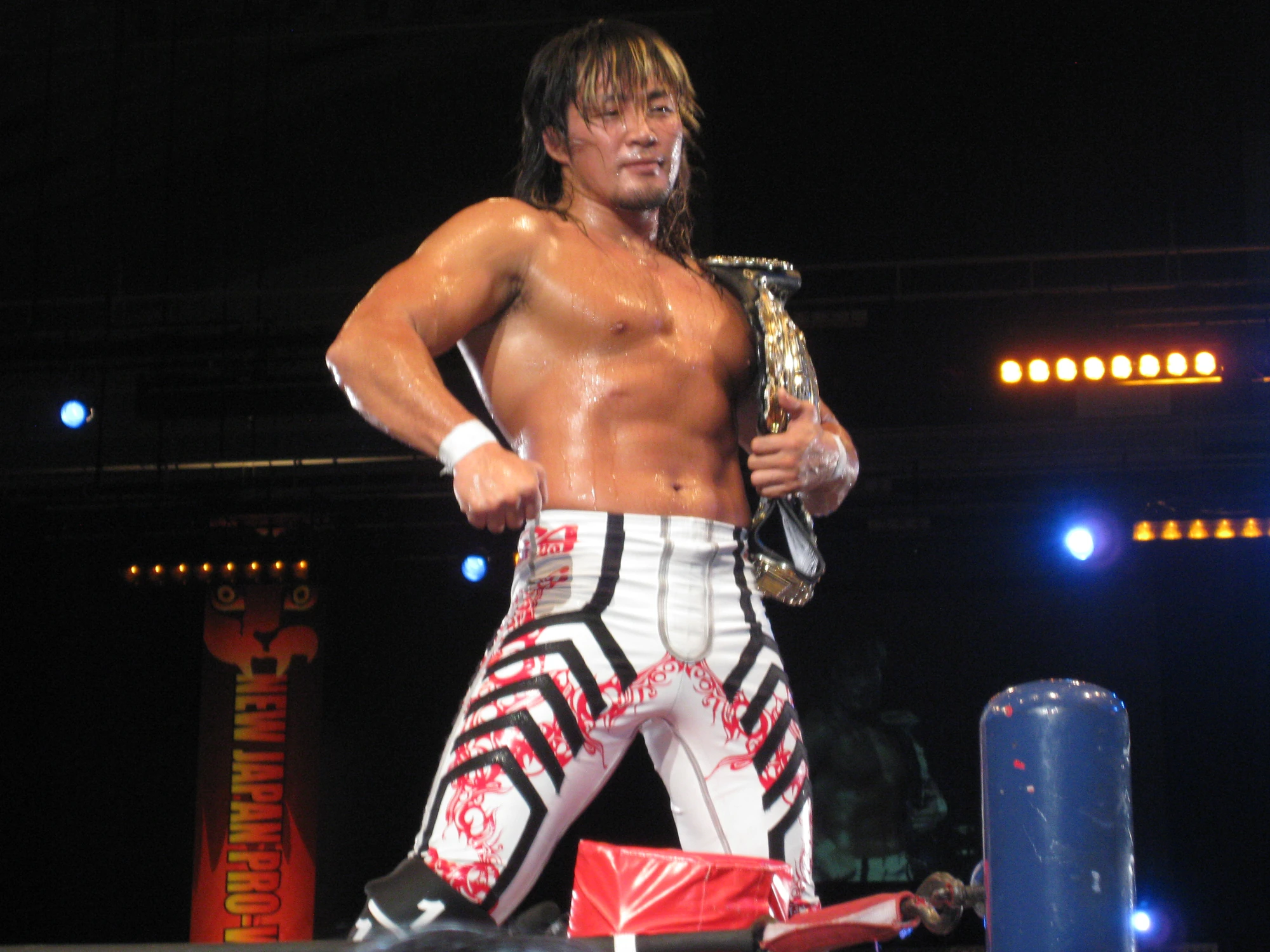 Hiroshi Tanahashi/Image gallery | Pro Wrestling | Fandom