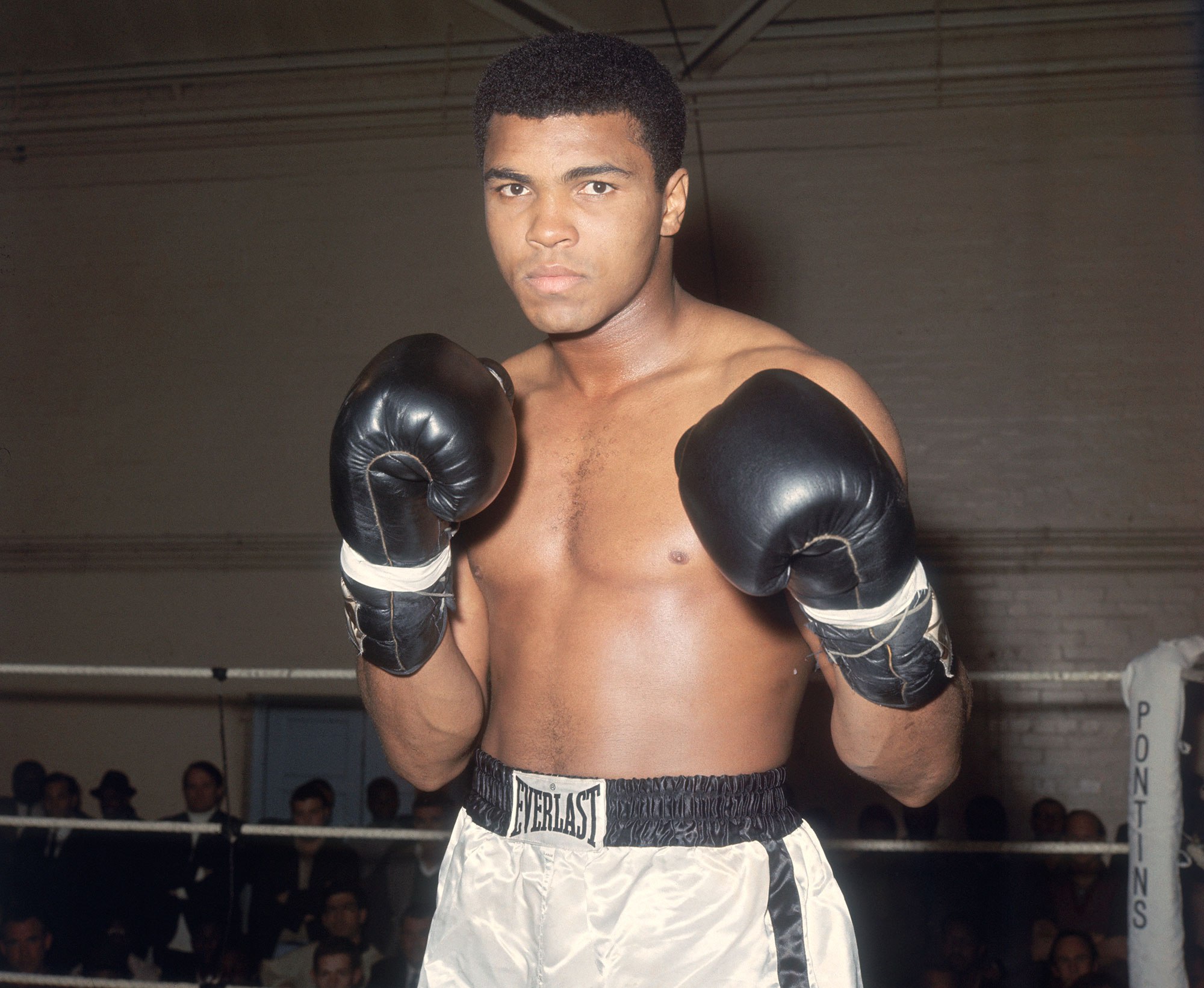 Muhammad Ali | Pro Wrestling | Fandom Muhammad Ali | Pro Wrestling | Fandom