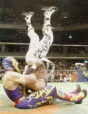 Double underhook piledriver | Pro Wrestling | Fandom