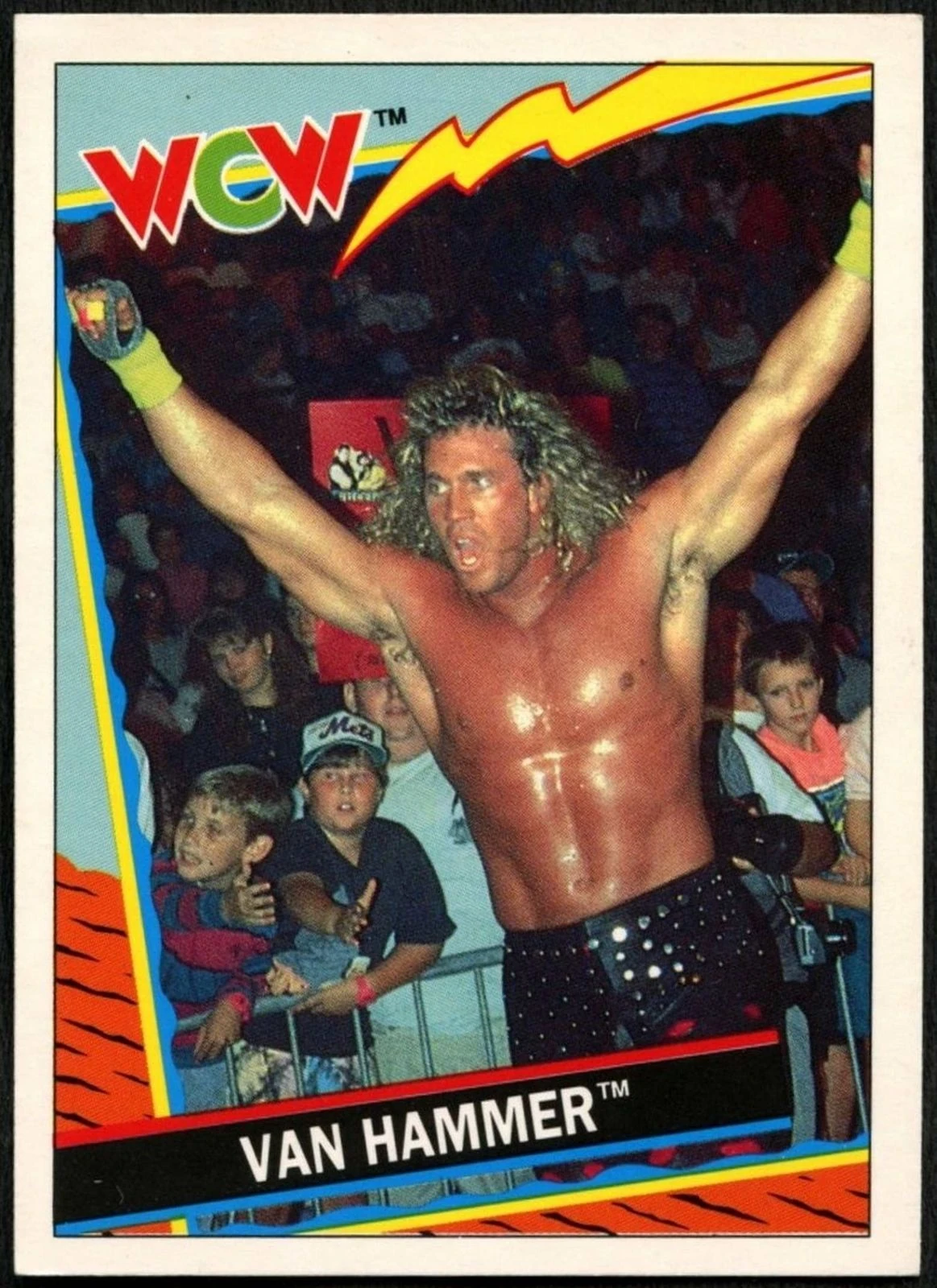 1992 WCW Trading Cards (Topps) Van Hammer (No.32) | Pro Wrestling | Fandom