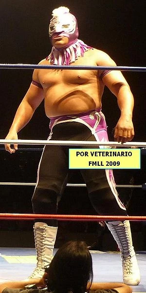 Misterioso, Jr. | Pro Wrestling | FANDOM powered by Wikia