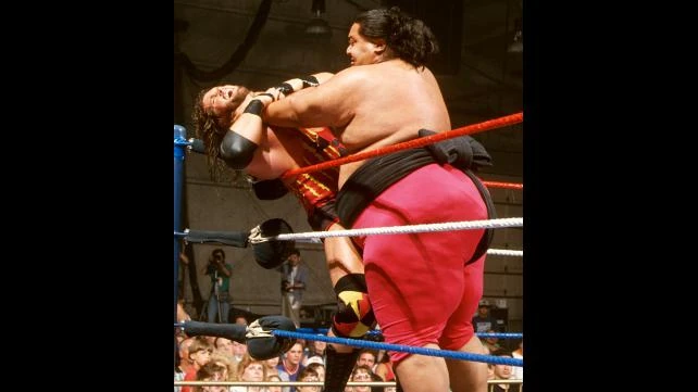 July 25, 1994 Monday Night RAW results | Pro Wrestling | FANDOM powered ...