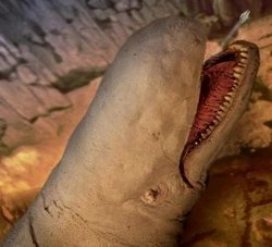 Legends:Exogorth | Star Wars Wiki em Português | Fandom