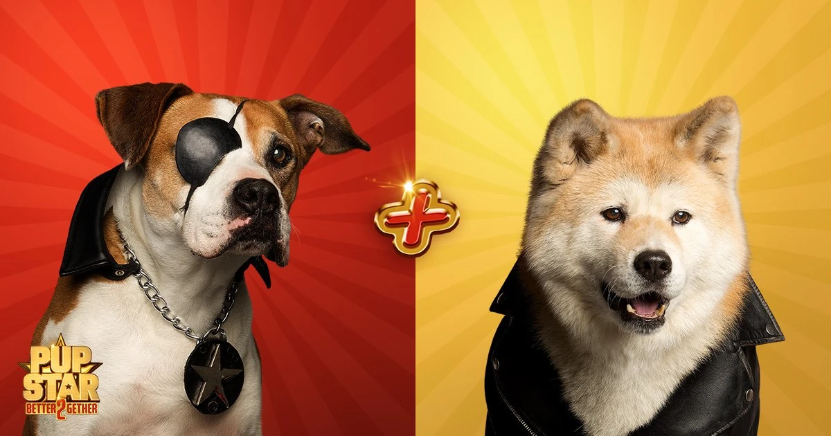 Bark/Gallery | Pup Star Wiki | Fandom