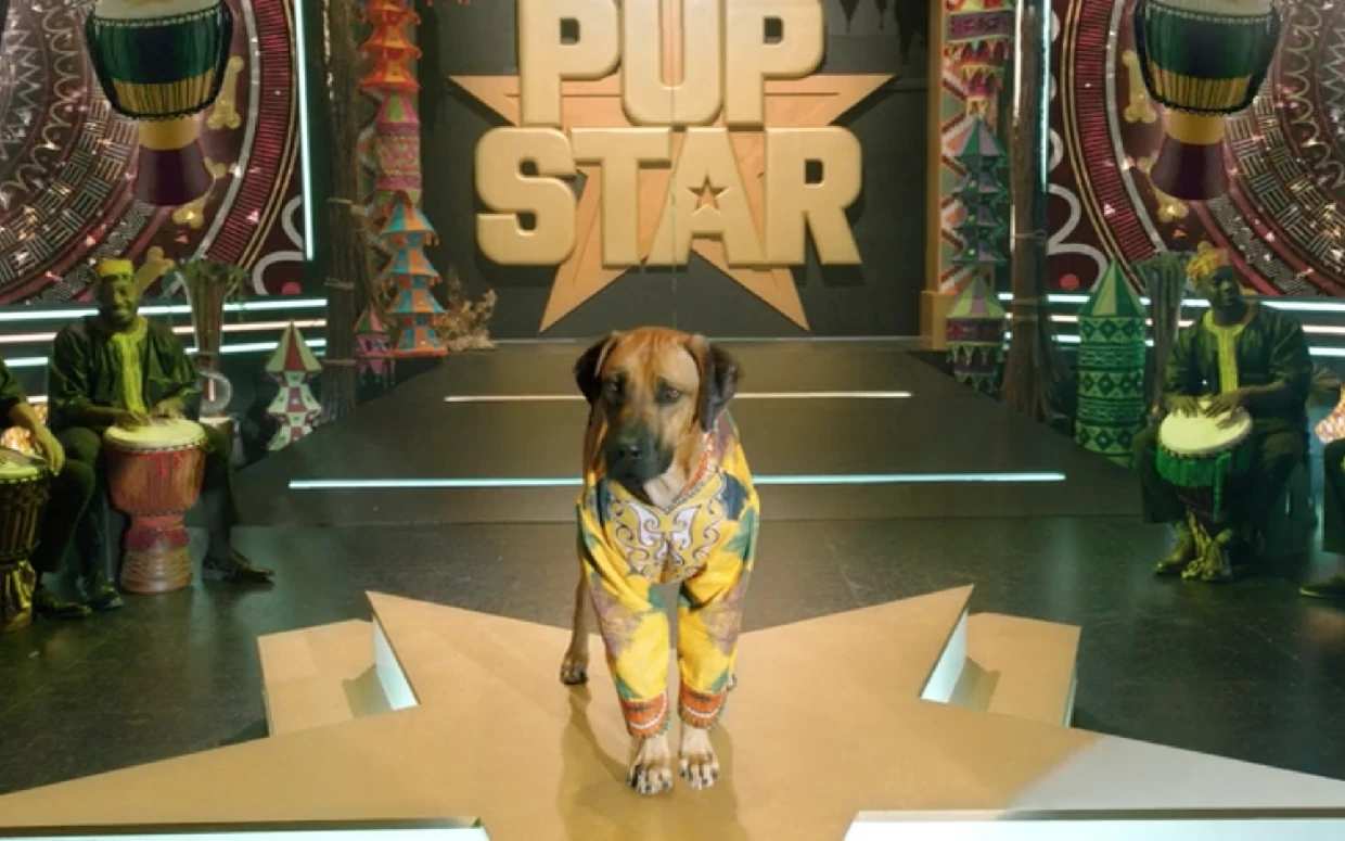Mobo | Pup Star Wiki | Fandom