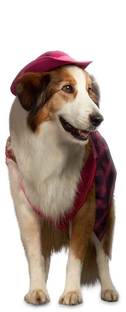 Emily Rose | Pup Star Wiki | Fandom