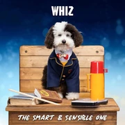 Whiz | Pup Academy Wiki | Fandom