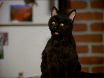 Salem Saberhagen | Puppet Wikia | Fandom