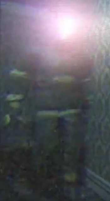 The Fireman | Puppet Combo Wiki | Fandom