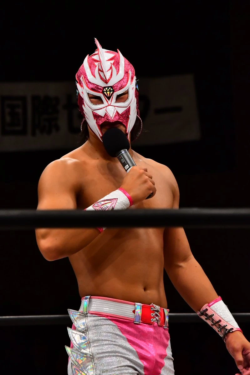Dragon Dia | Puroresu System Wiki | Fandom
