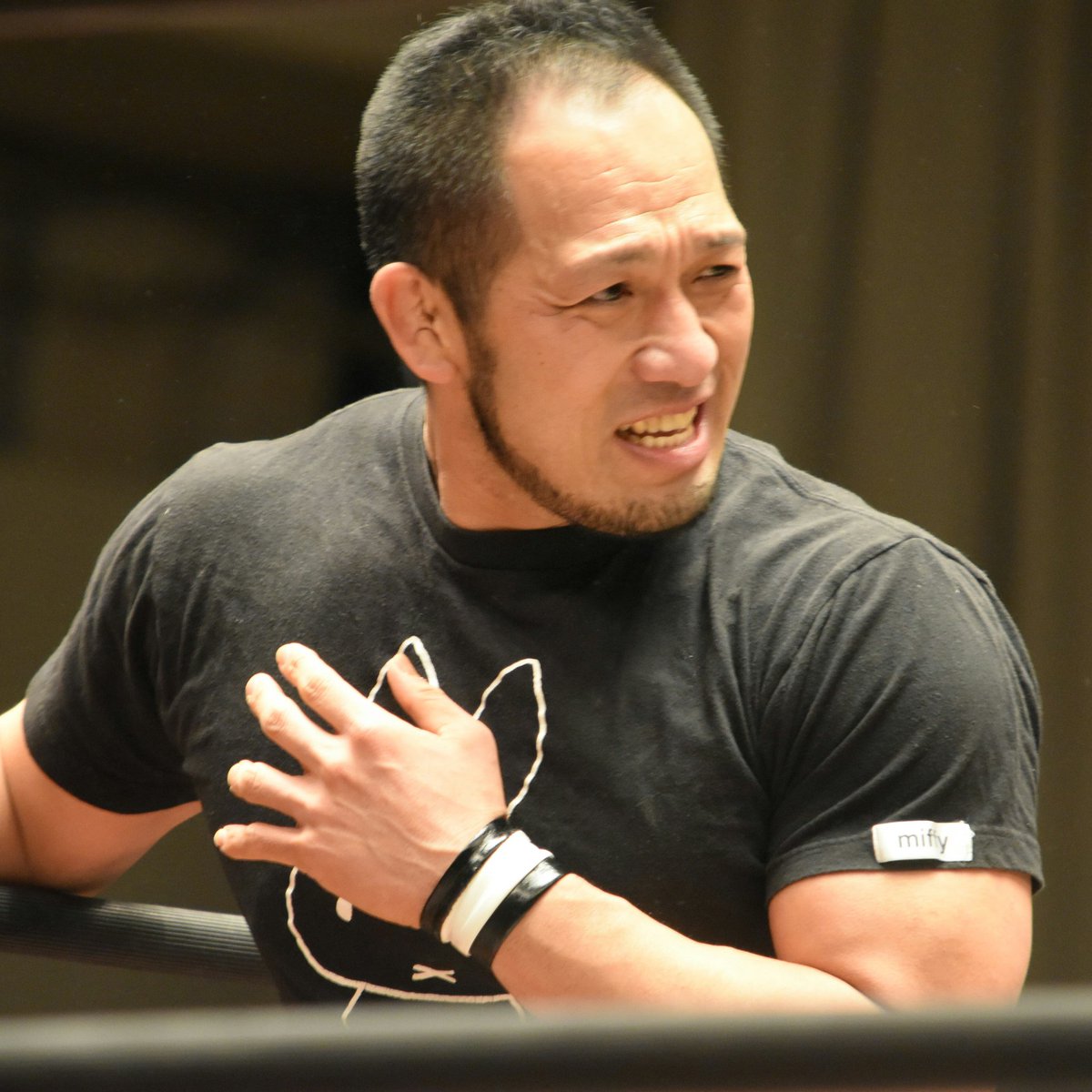 Michael Nakazawa | Puroresu System Wiki | Fandom Michael Nakazawa | Puroresu System Wiki | Fandom