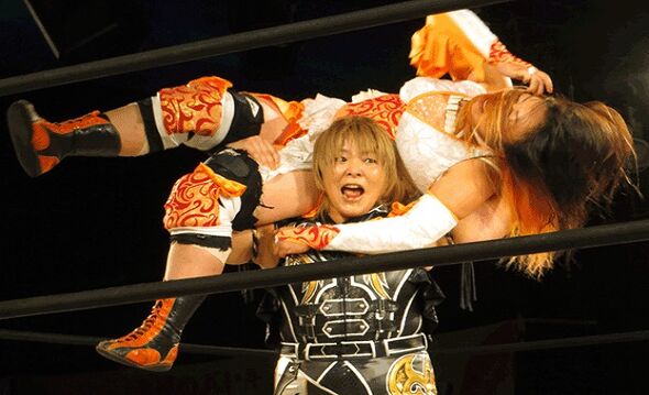 Puroresu System Wiki Fandom Powered By Wikia