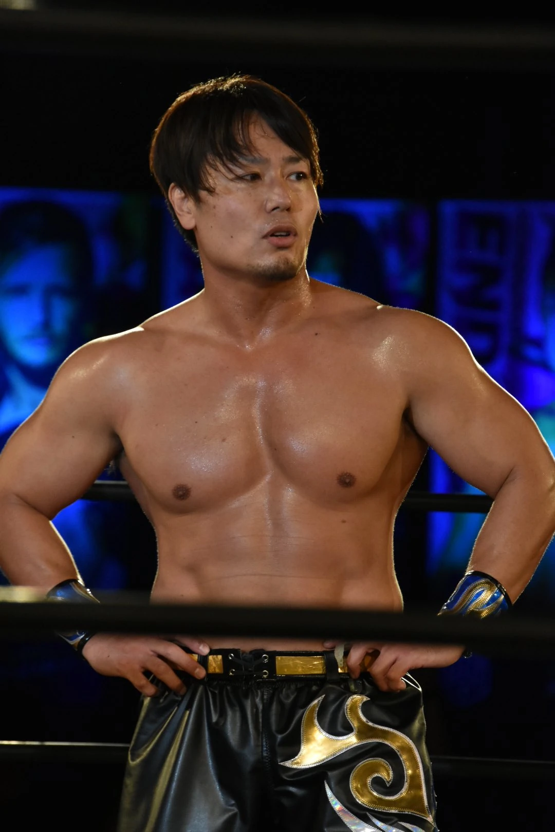 HARASHIMA | Puroresu System Wiki | Fandom