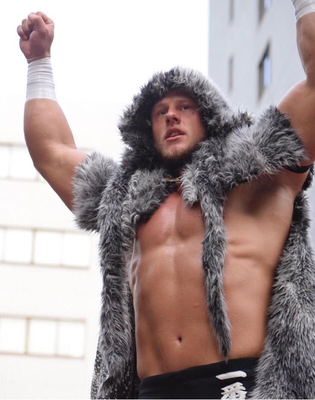 Dylan James Puroresu System Wiki Fandom Powered By Wikia