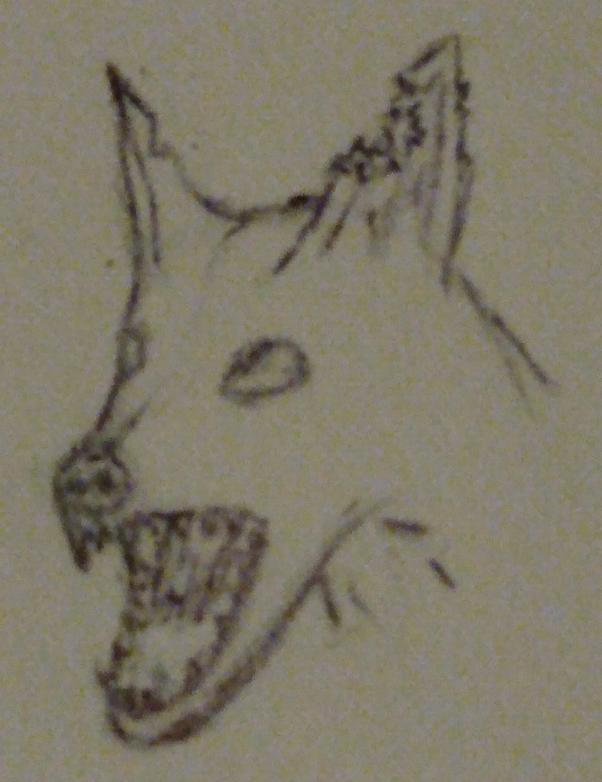 Zombie Dog (Timeless) | Plants vs. Zombies Character Creator Wiki | Fandom