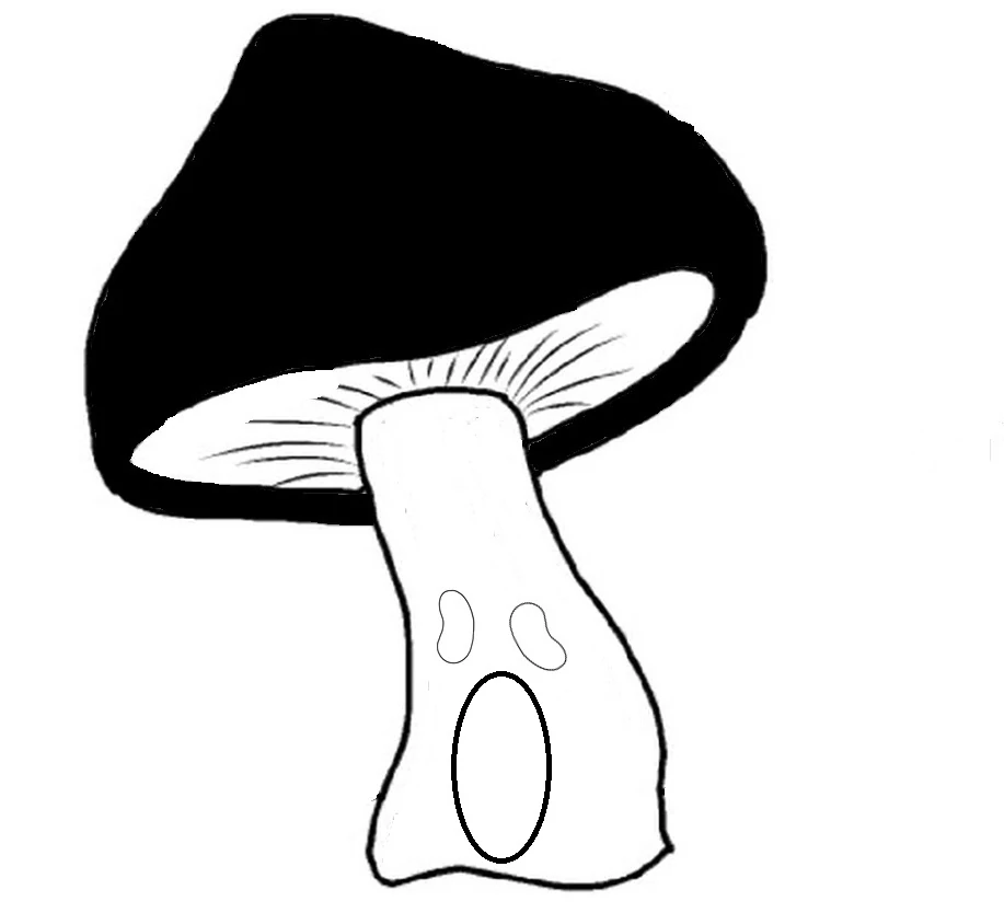 Scary-Shroom | Plants vs. Zombies Character Creator Wiki | Fandom