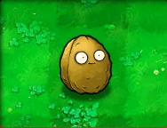 Image - Wall-nut.gif | Plants vs. Zombies Character Creator Wiki ...