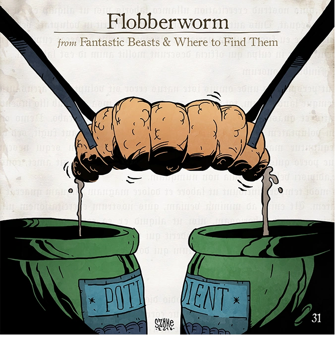 Flobberworm | The Harry Potter Compendium | Fandom