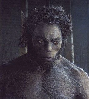 Centaur | The Harry Potter Compendium | FANDOM powered by Wikia