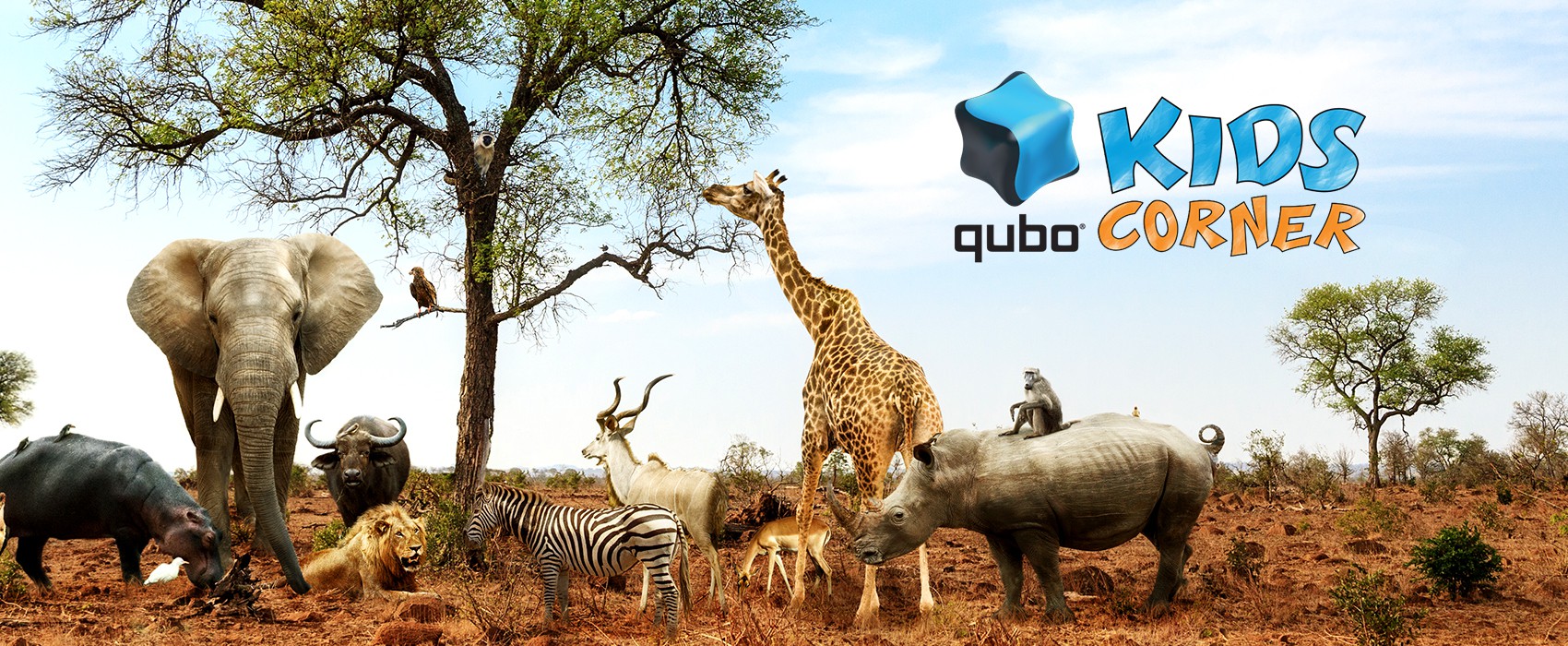 Qubo Kids Corner | The Official Qubo Wiki | Fandom Qubo Kids Corner | The Official Qubo Wiki | Fandom