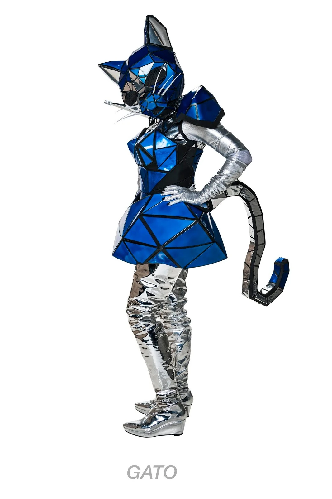 Gato | ¿Quién es la Máscara? Wiki | Fandom