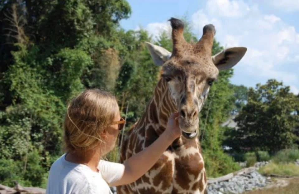 Joshua Giraffe | Raffi Wiki | Fandom